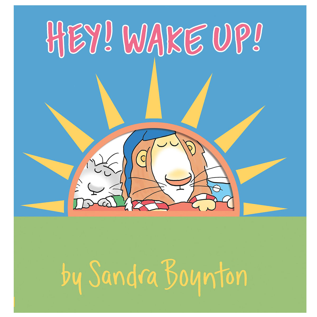 sandra boynton coloring book