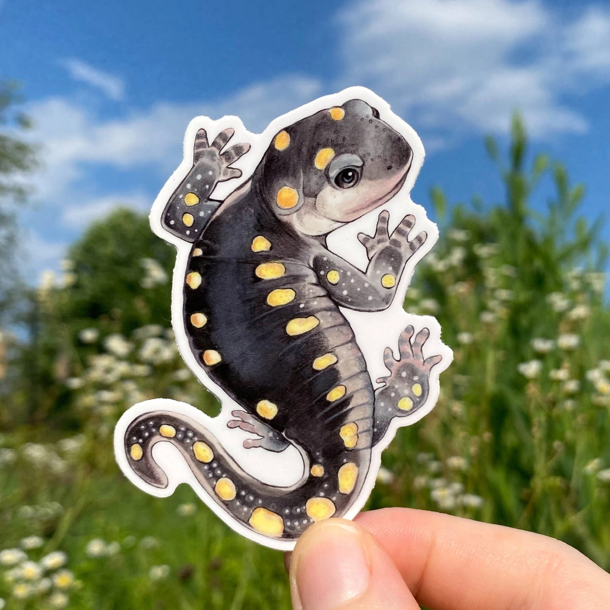 Yellow Spotted Salamander Sticker – Treehouse Toys