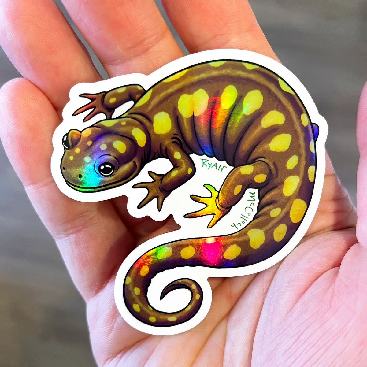 Spotted Salamander Holographic Sticker – Treehouse Toys