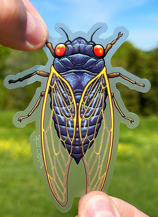 Cicada Sticker – Treehouse Toys