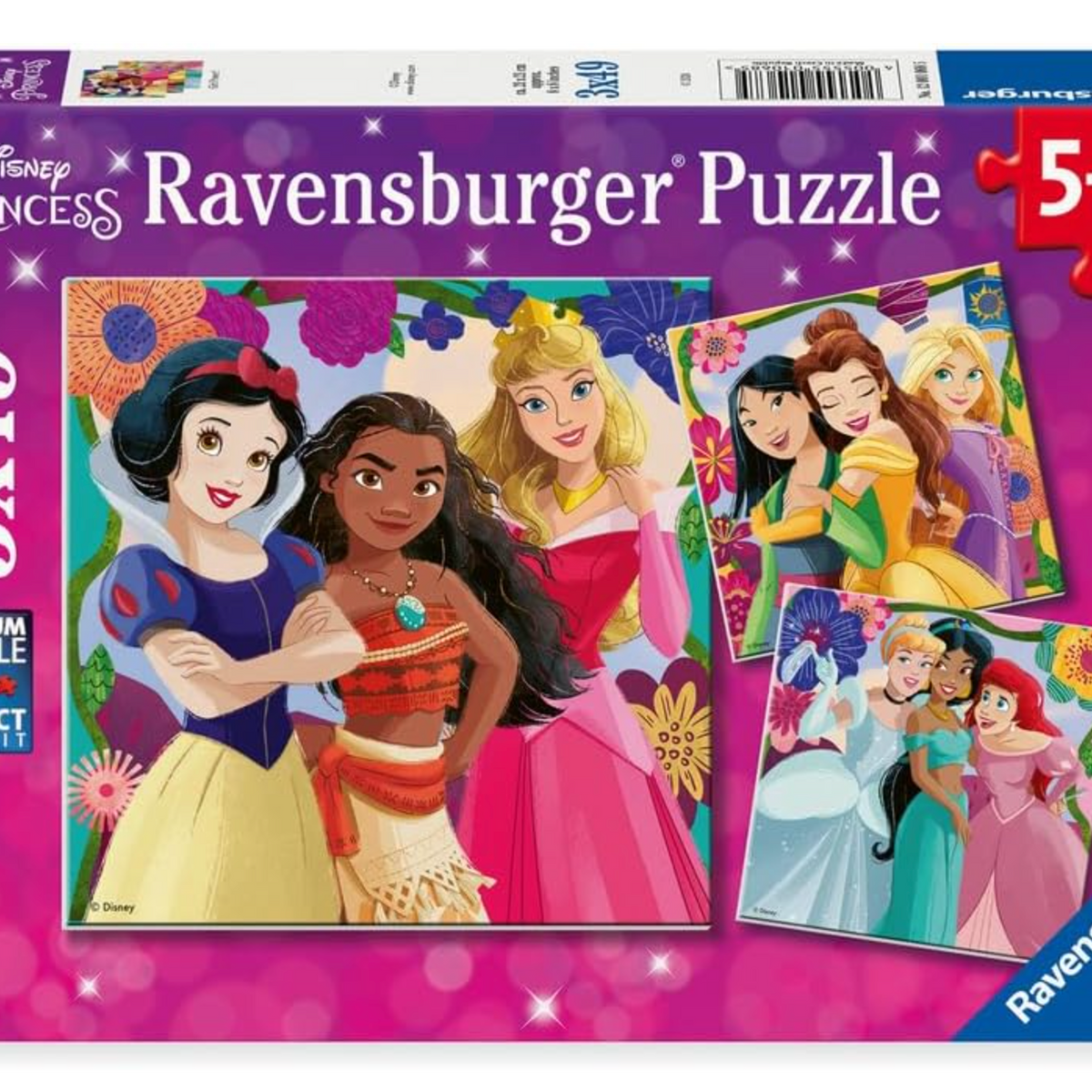 49pc Disney Princess Puzzles – Treehouse Toys