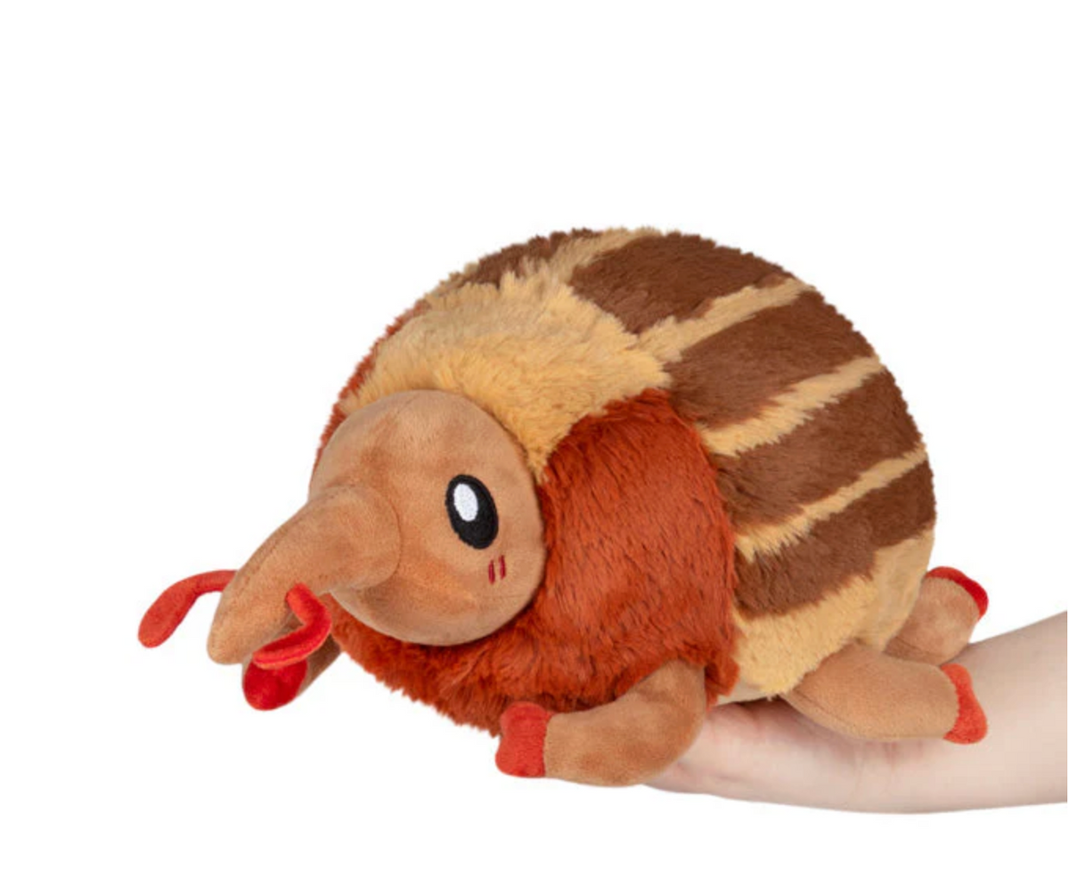 Weevil Mini – Treehouse Toys