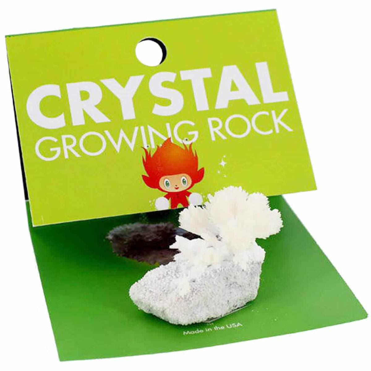 Crystal Growing Kit – Treehouse Toys