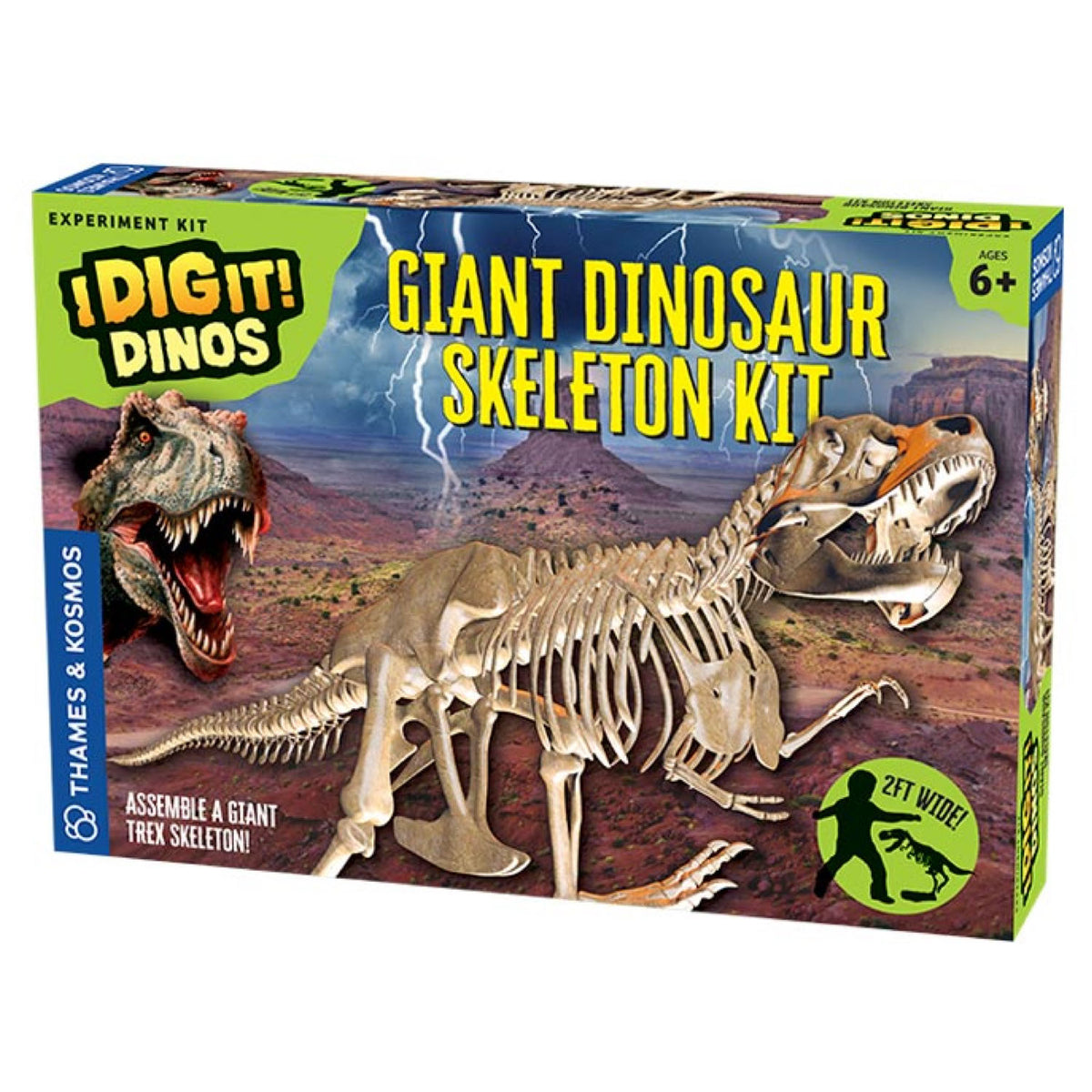 Dinosaur Skeleton Kit – Treehouse Toys