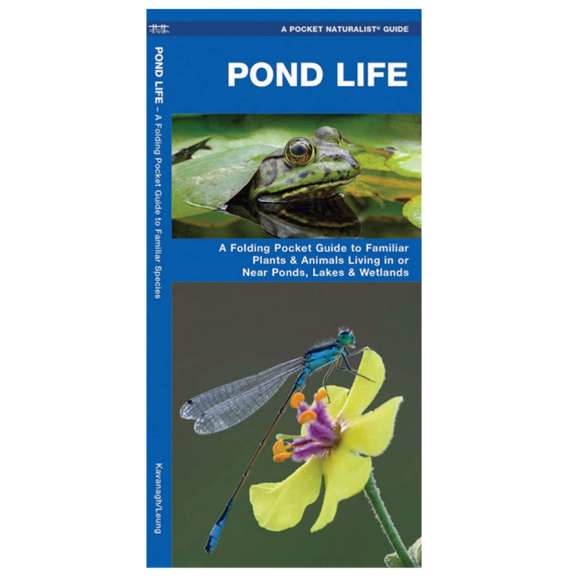 Pocket Pond Life Guide – Treehouse Toys