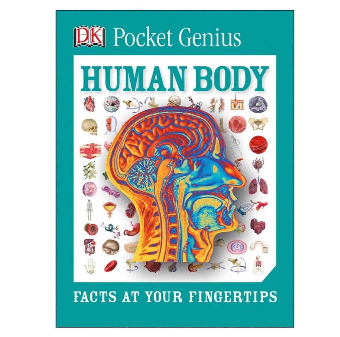 Pocket Genius Human Body – Treehouse Toys